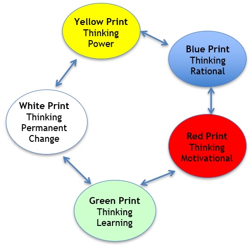 Colour Print Model | Diversity Capacities